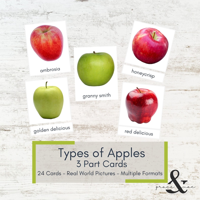 Apple Montessori Cards – Types of Apples, Printable Nomenclature (PDF ...