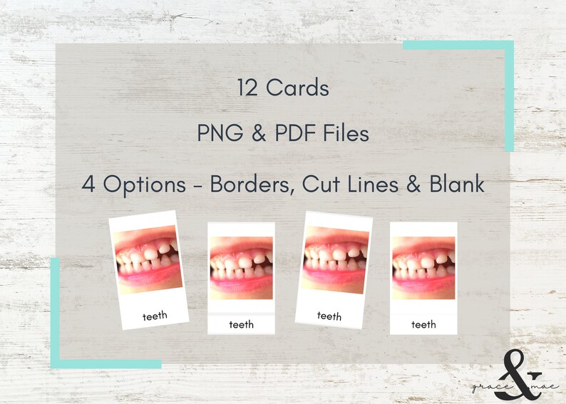 Dental Hygiene 3 Part Cards - Real World Pictures - Montessori Cards ...