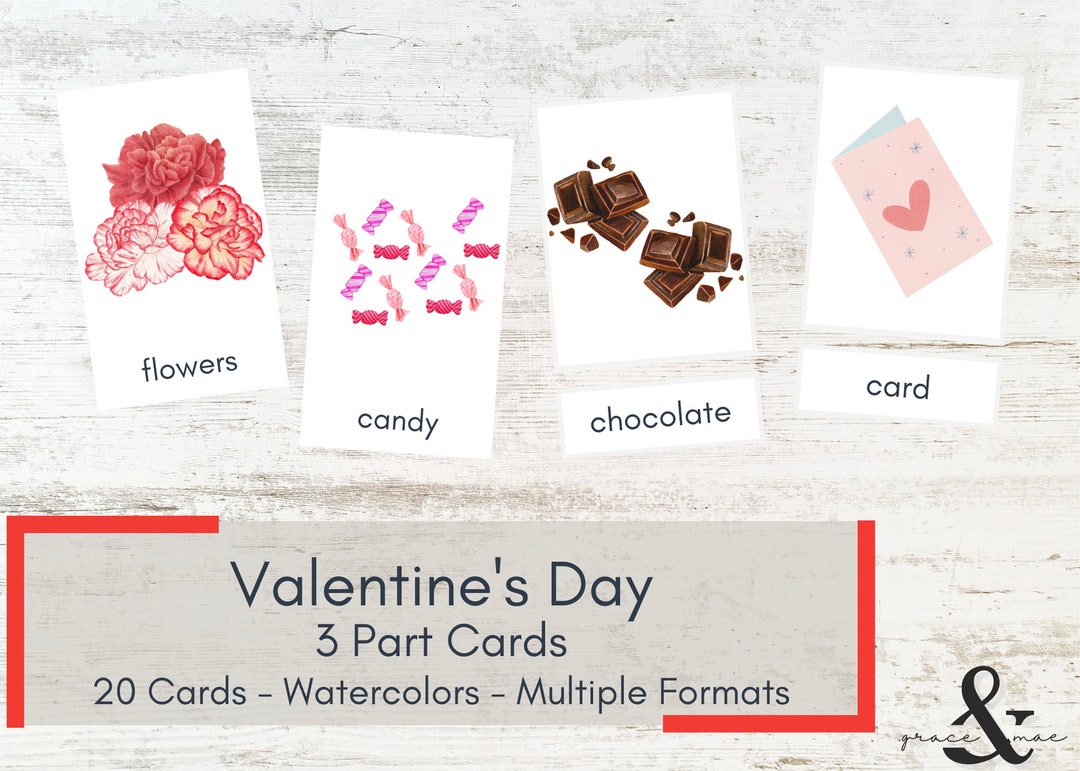 Valentine's Day 3 Part Cards - Watercolor Pictures - Montessori Cards ...