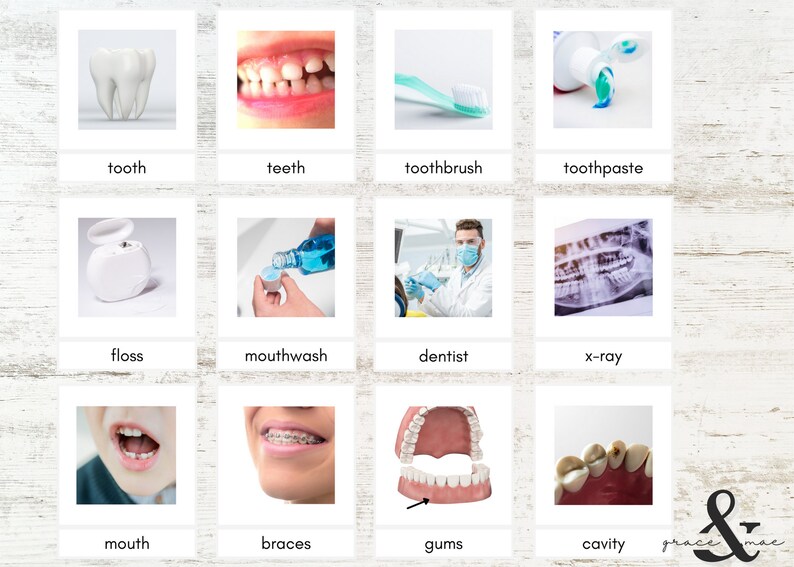 Dental Hygiene 3 Part Cards - Real World Pictures - Montessori Cards ...