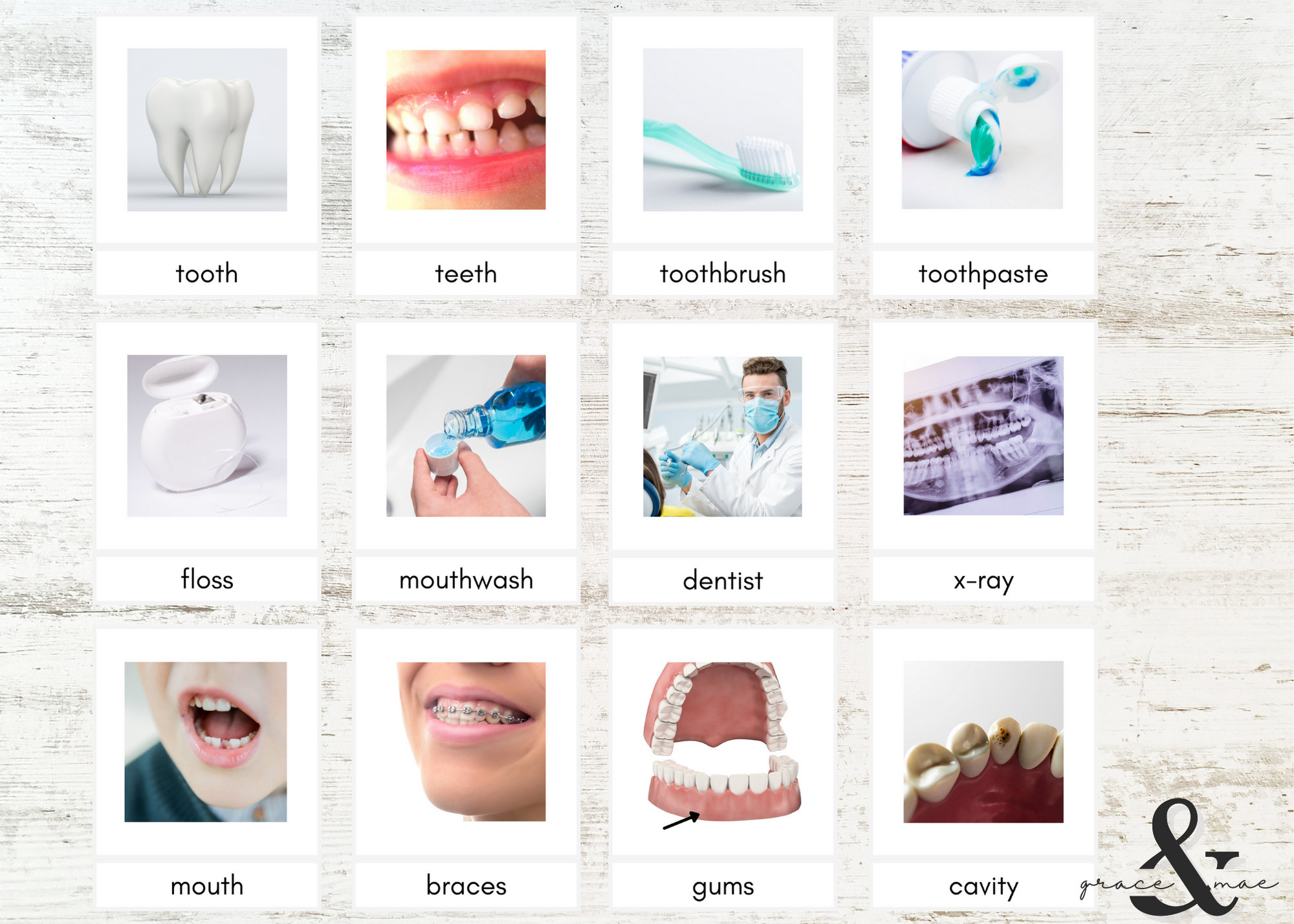Dental Hygiene 3 Part Cards - Real World Pictures - Montessori Cards ...