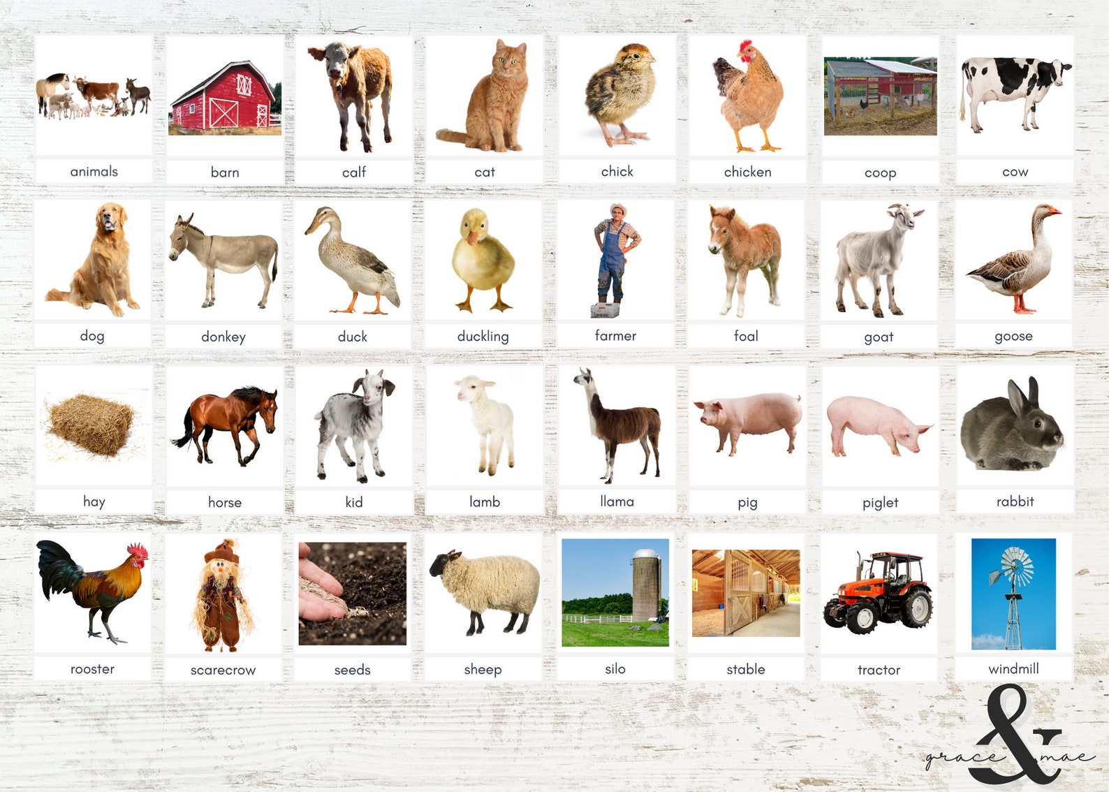 Farm 3 Part Cards - Real Pictures - Montessori Cards - Printable ...