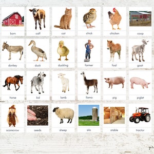 Farm Animal 3-part Cards – Montessori Nomenclature (printable PDF) - Etsy