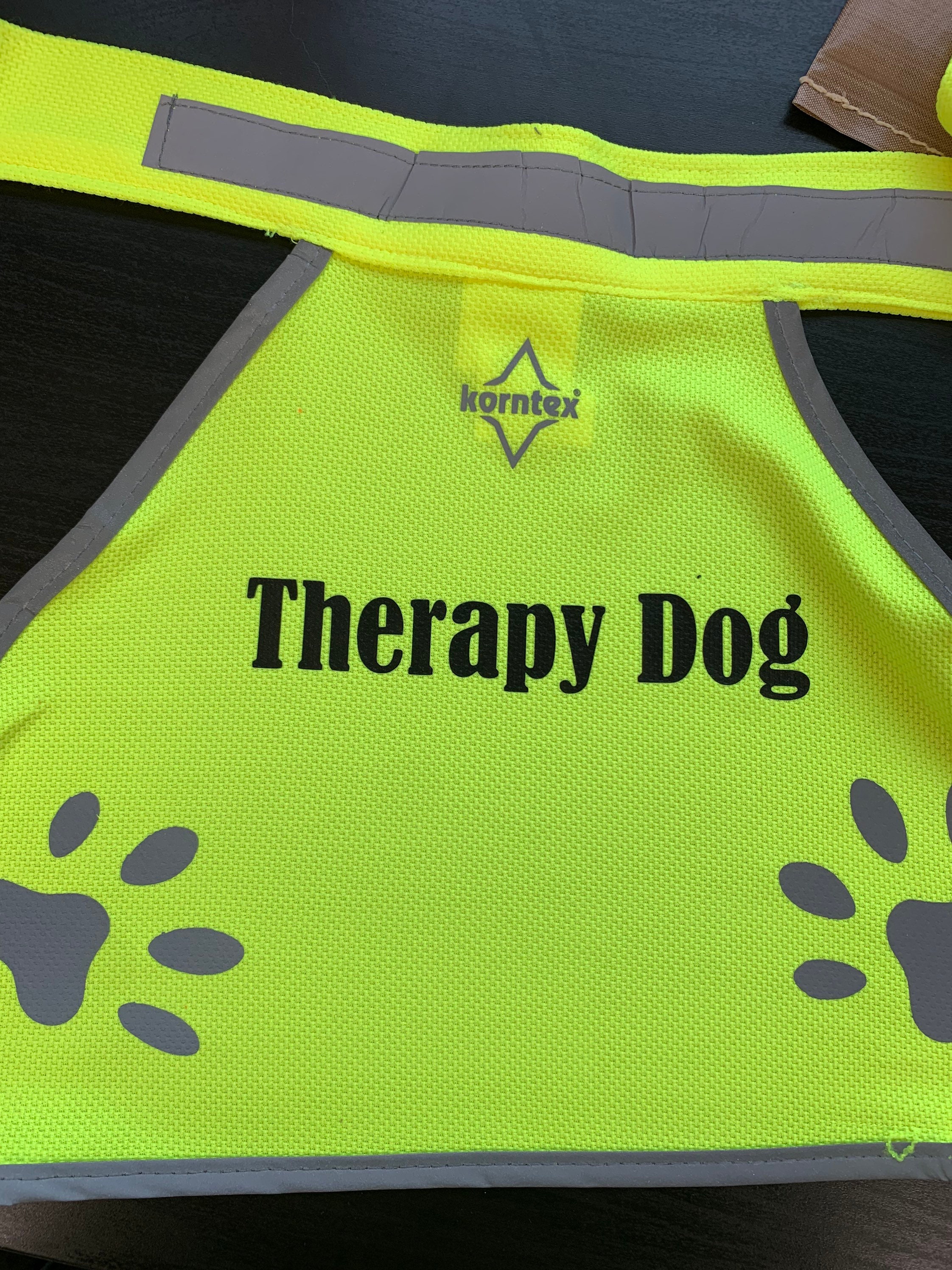 Hi Viz Dog Vest Personalised Yellow Safety Coat High Visibility - Etsy