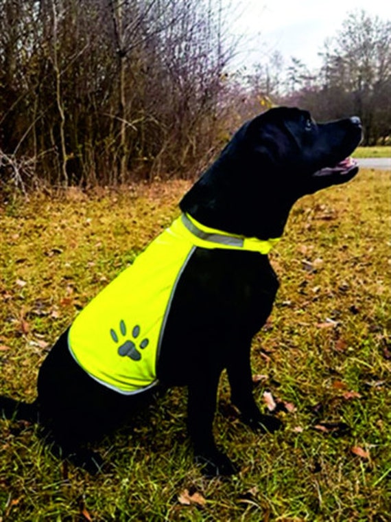 Hi Viz Dog Vest Personalised Yellow Safety Coat High | Etsy
