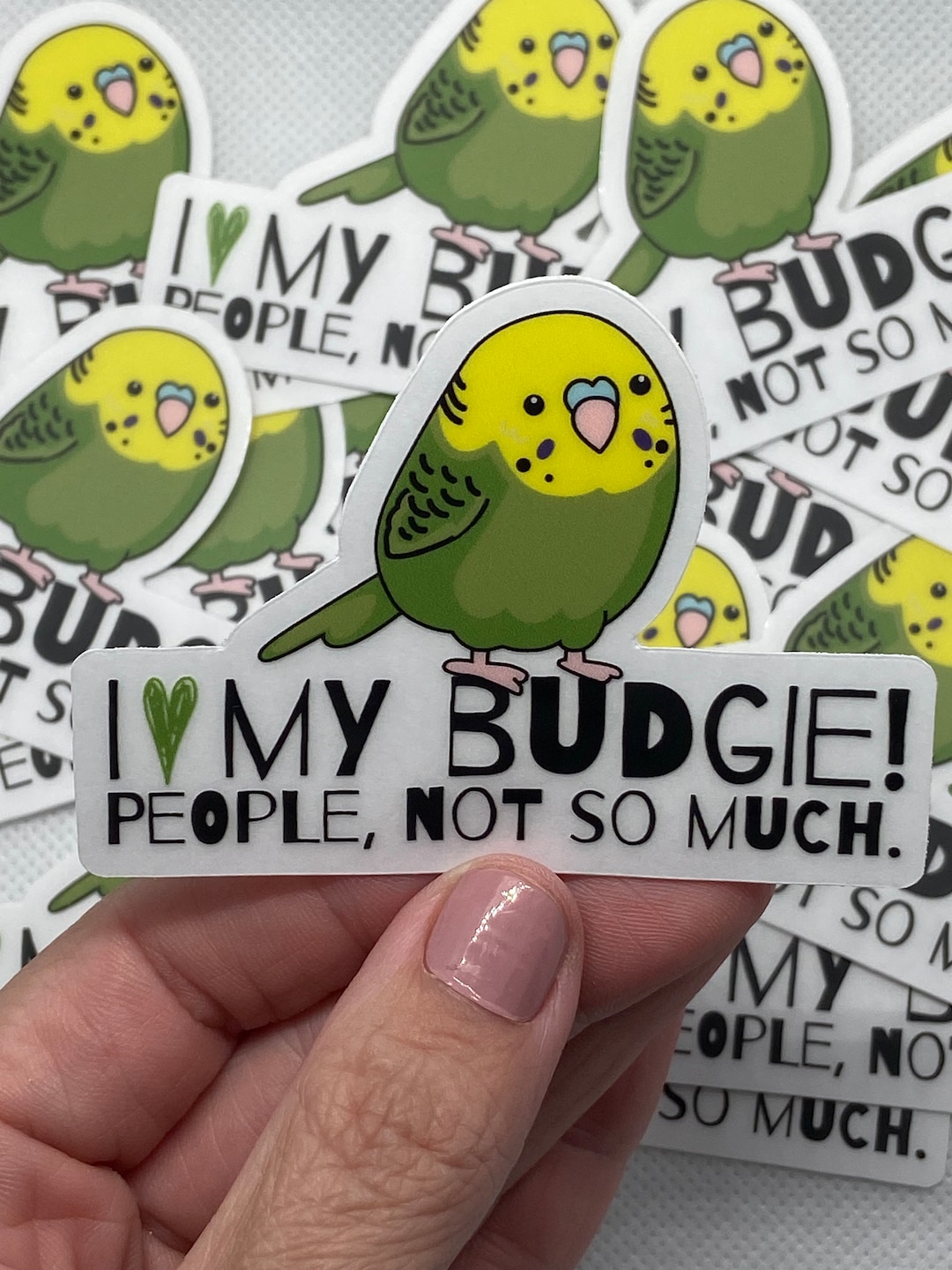 Pudgy Budgie Sticker I Love My Budgie People Not so Much. - Etsy
