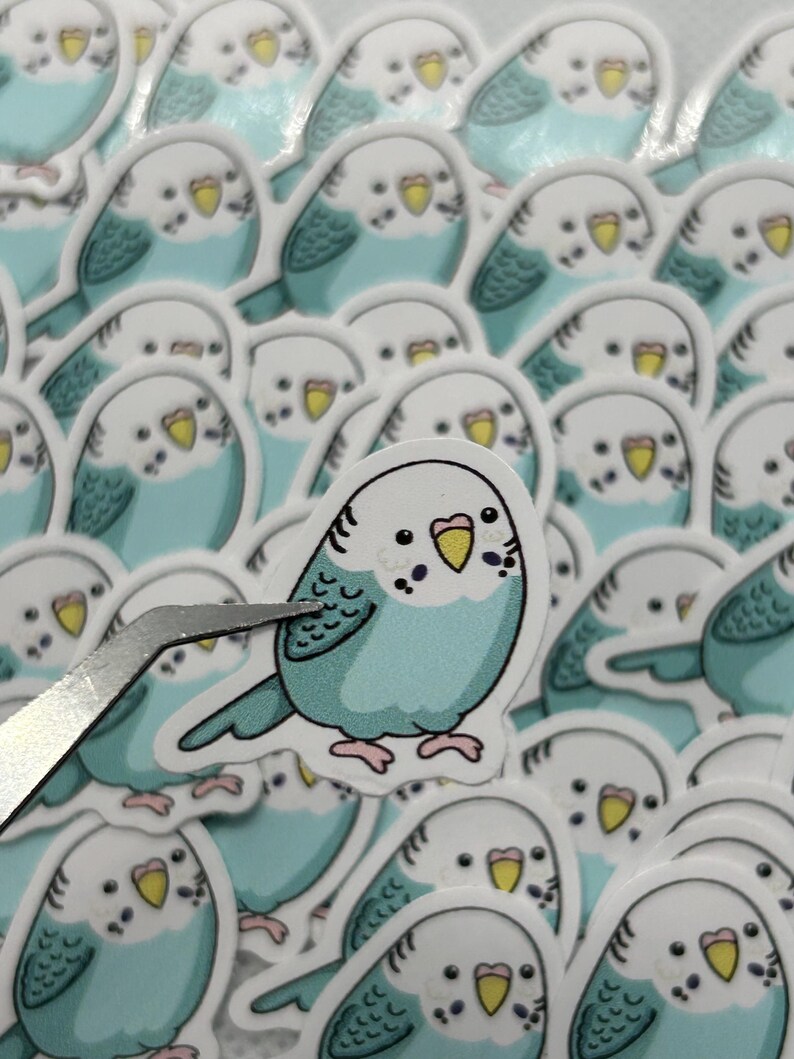 Pudgy Budgie Sticker: Micro Mini Teal Parakeet Decal - Etsy