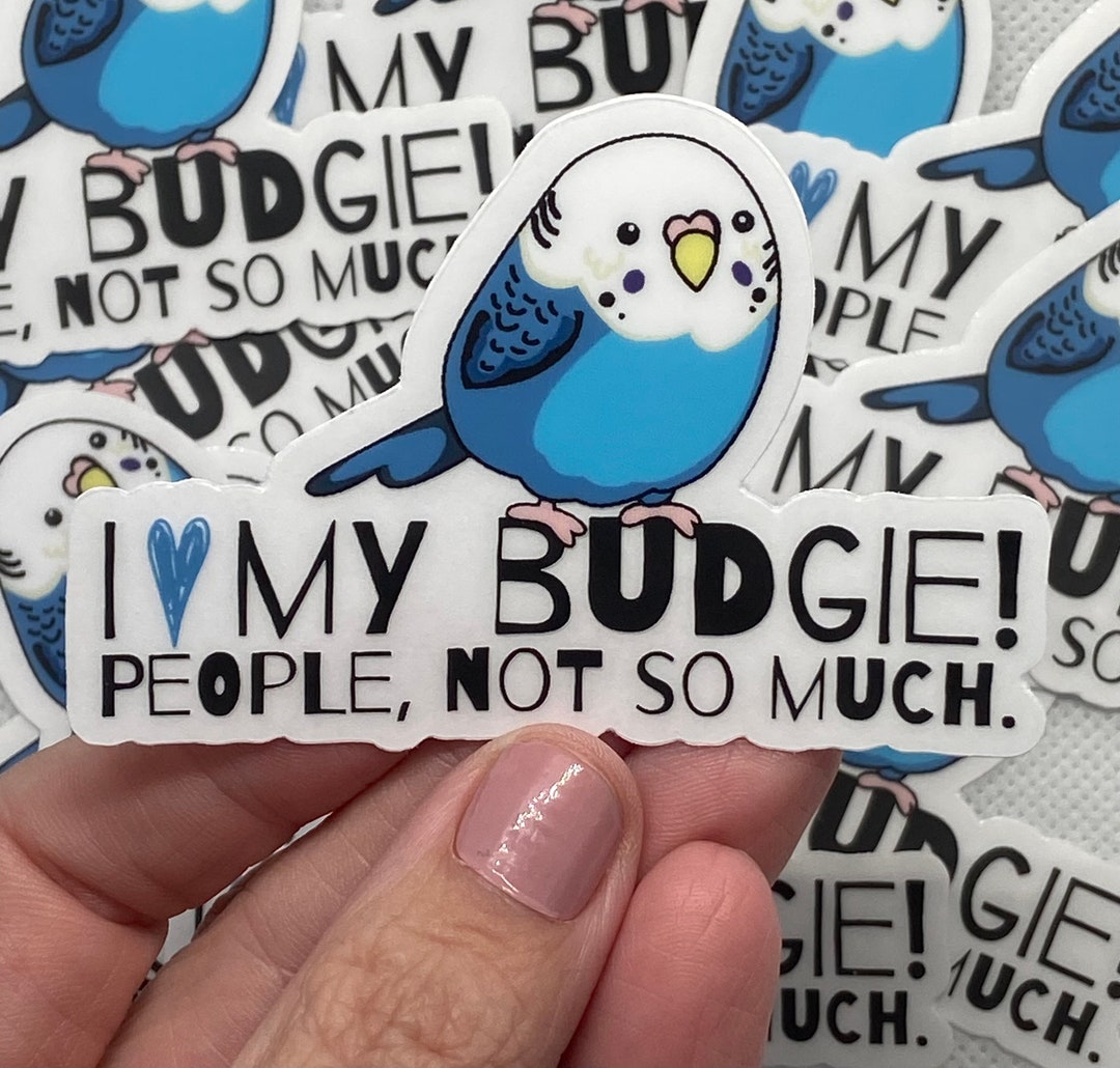 Pudgy Budgie Sticker I Love My Budgie People Not so Much. Clear Vinyl ...