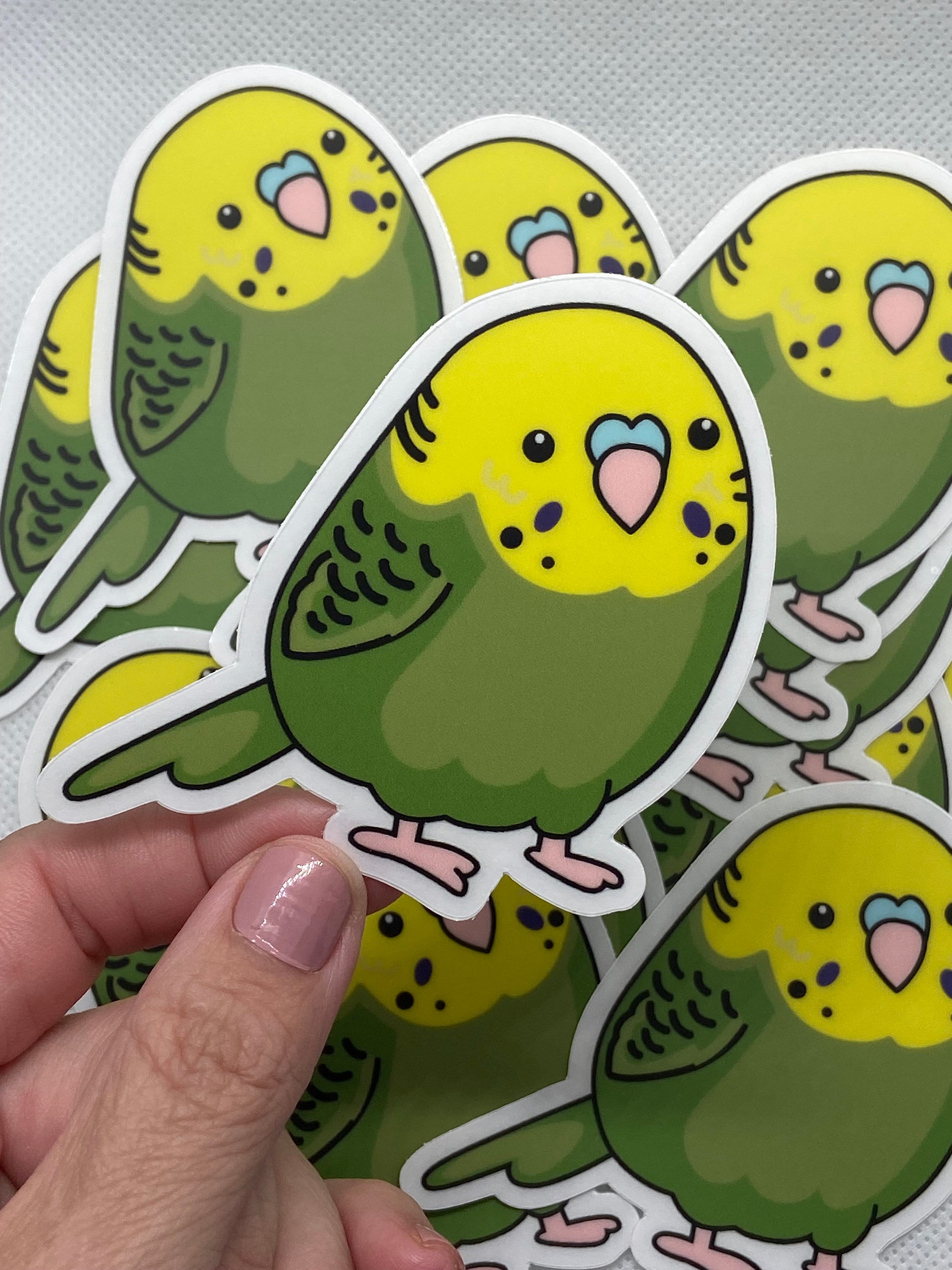 Pudgy Budgie Sticker 3 Jumbo Waterproof Clear Vinyl Decal - Etsy