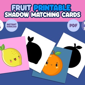 Fruits Printable Shadow Matching Cards. Montessori Toddler Activity ...