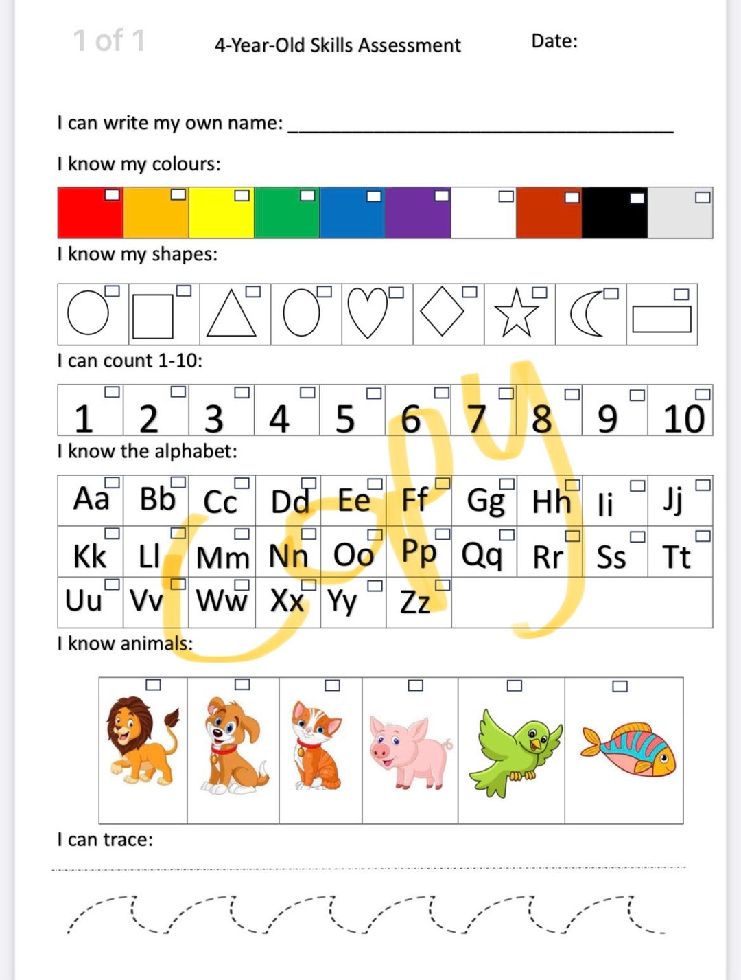 4 Year Old Assessment - Etsy