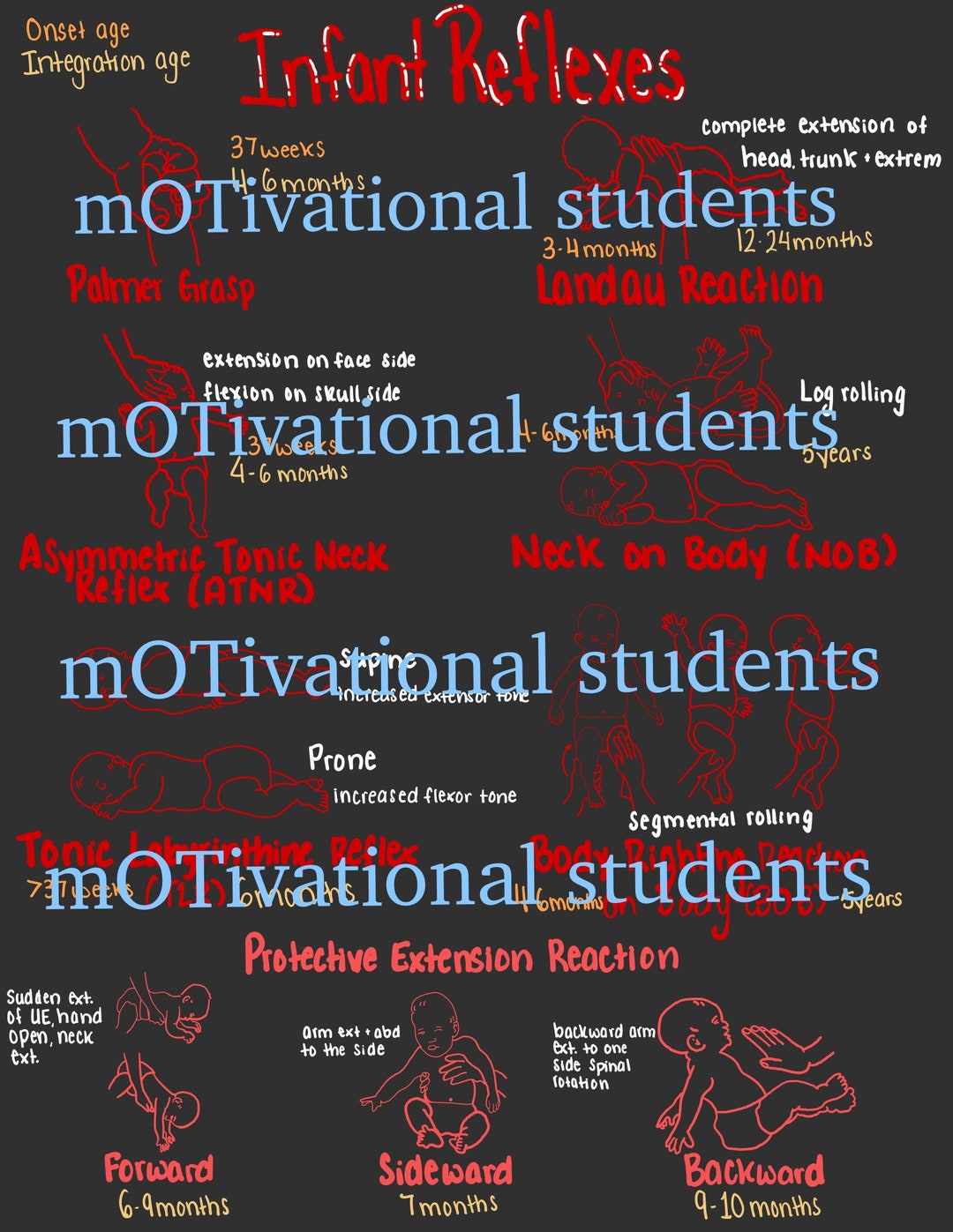 Pedatric NBCOT Study Guides - Etsy