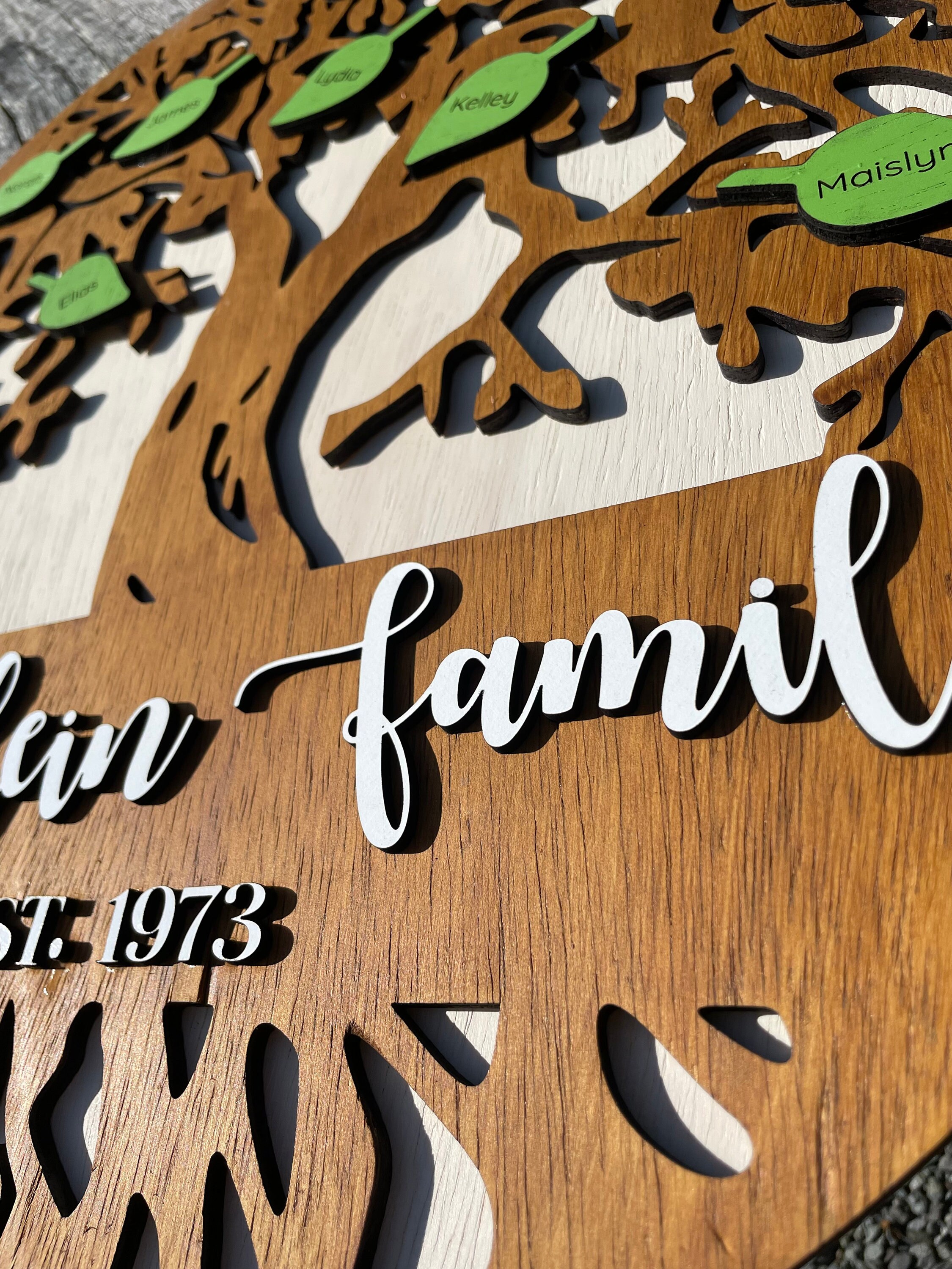 Tree of Life Family Tree/family Tree Wall Art/round Sign Large - Etsy