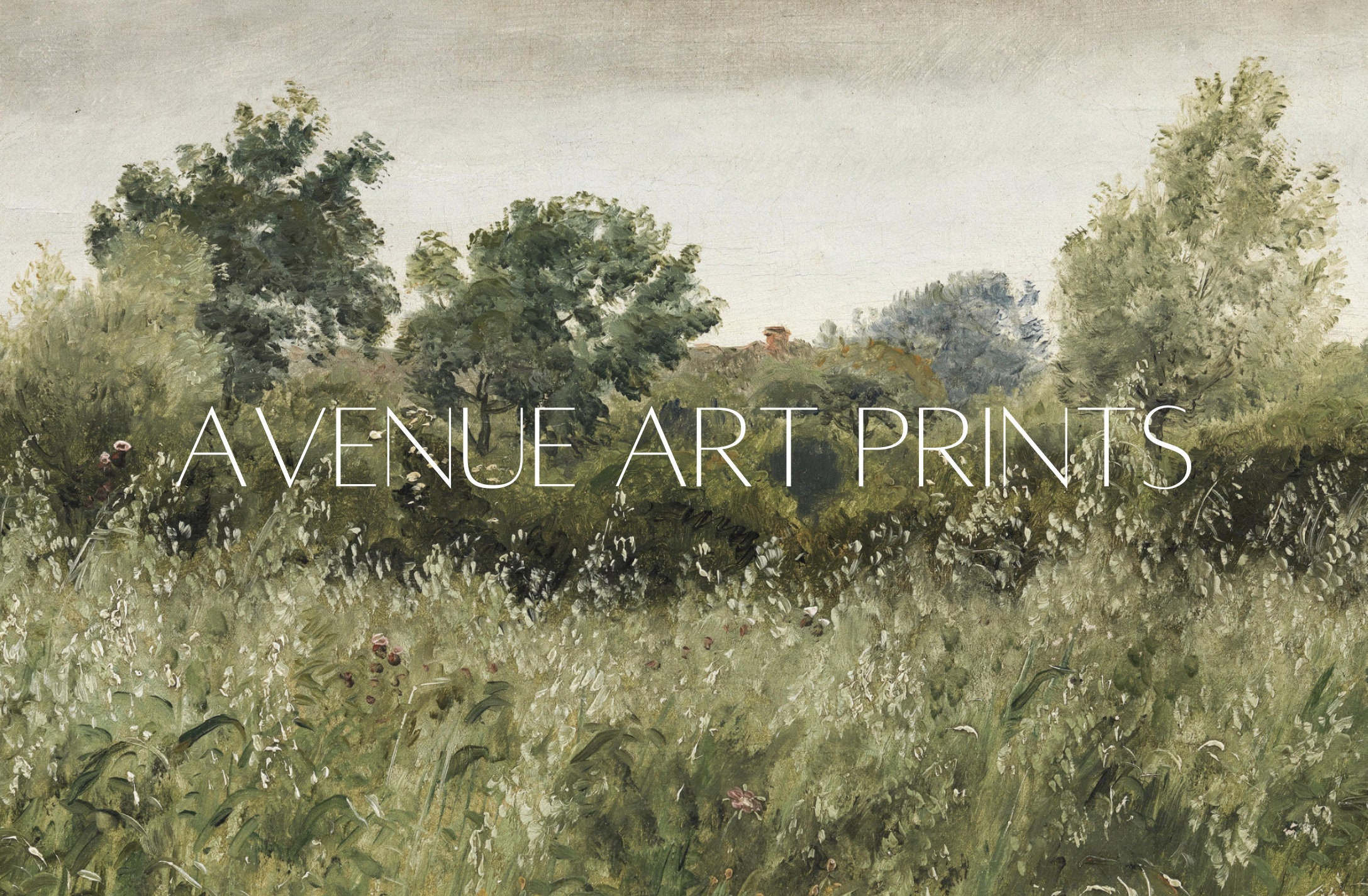 Oat Field Art Print Digital Download Green Field of Oats Antique ...