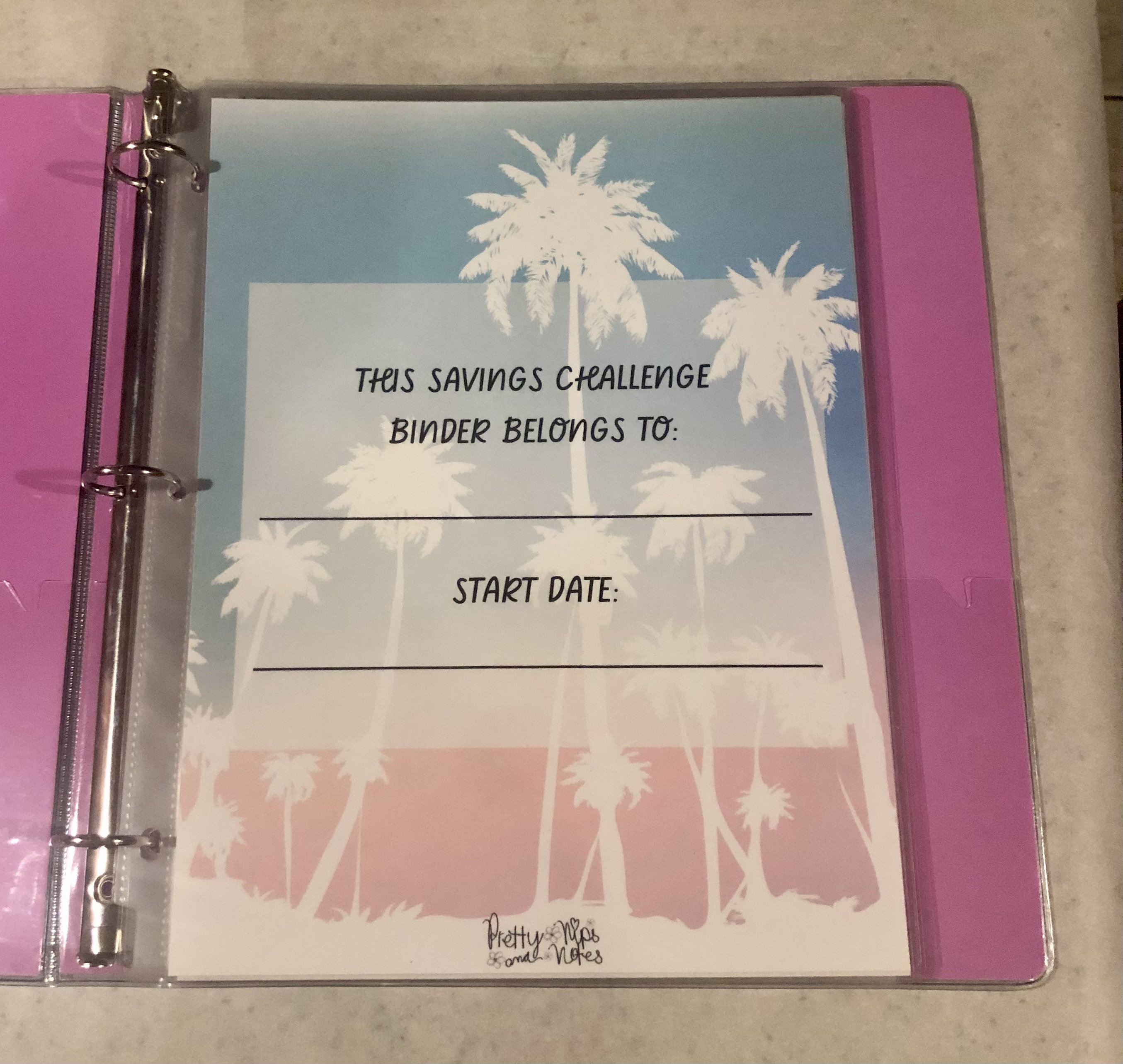 Savings Challenge Pretty Binder - Etsy