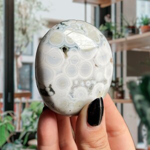 8th Vein Ocean Jasper High Grade Orbicular Jasper Crystal Palm Stone ...