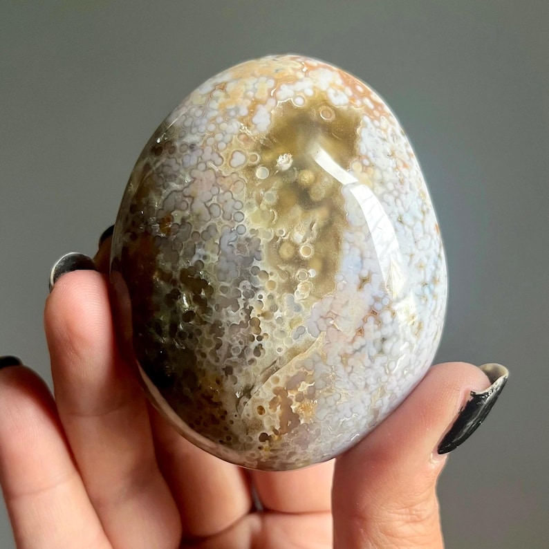 8th Vein Ocean Jasper Crystal Palm Stone | High Grade Orbicular Jasper ...