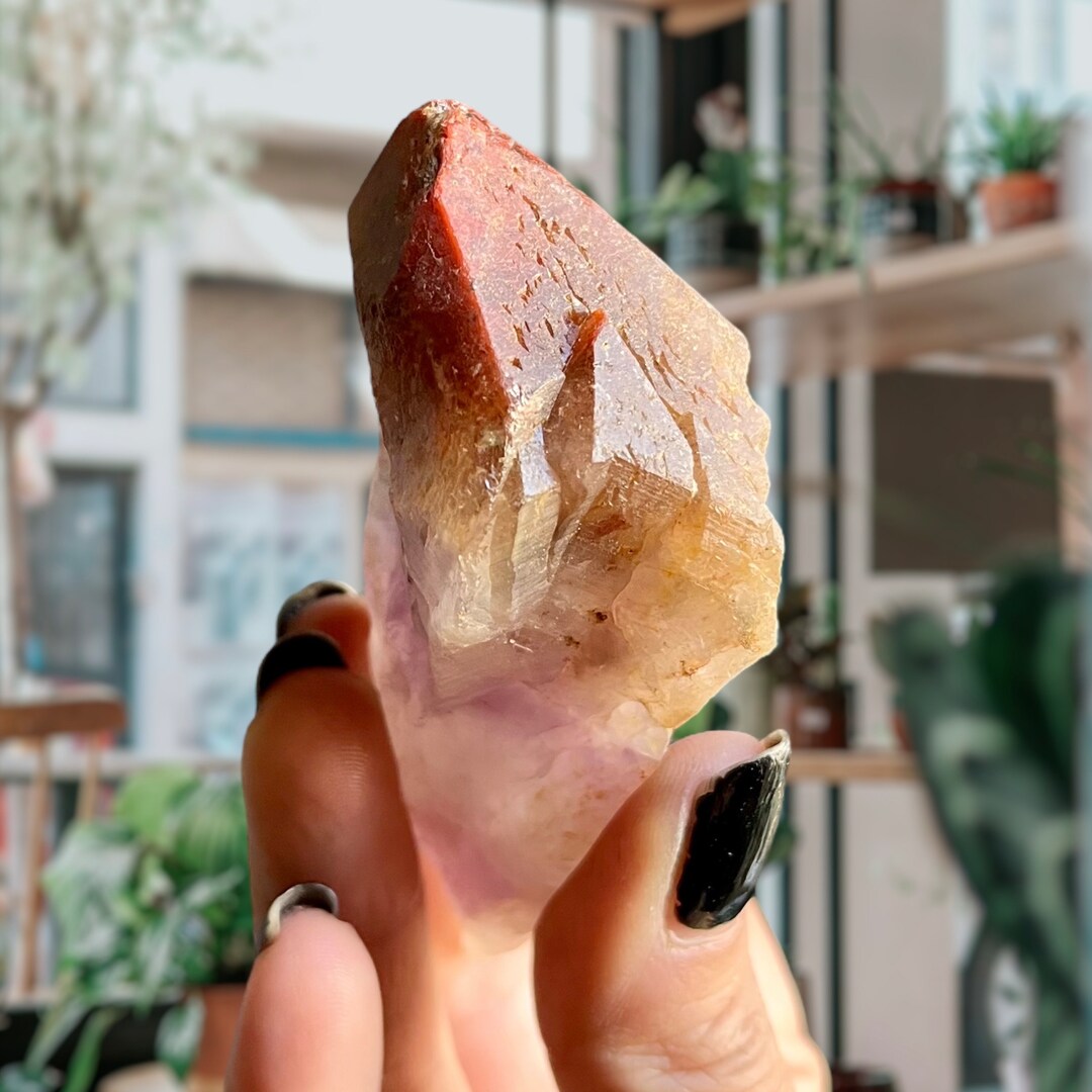 Raw Elestial Melody Stone Super Seven Amethyst Root W/ Record Keepers ...