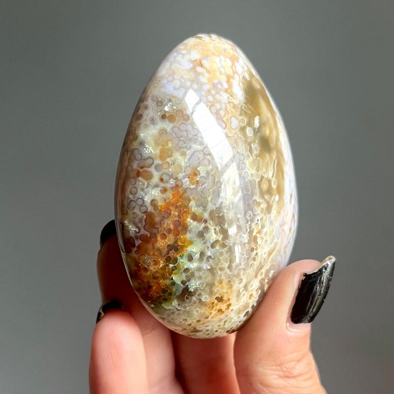 8th Vein Ocean Jasper Crystal Palm Stone | High Grade Orbicular Jasper ...