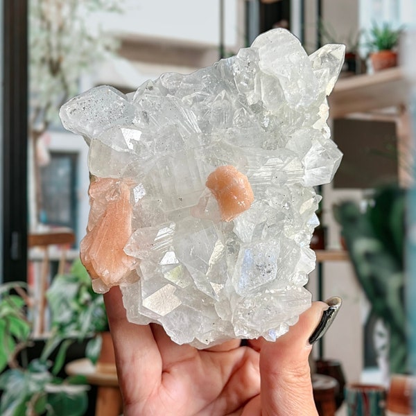 Crystal Specimen - Etsy