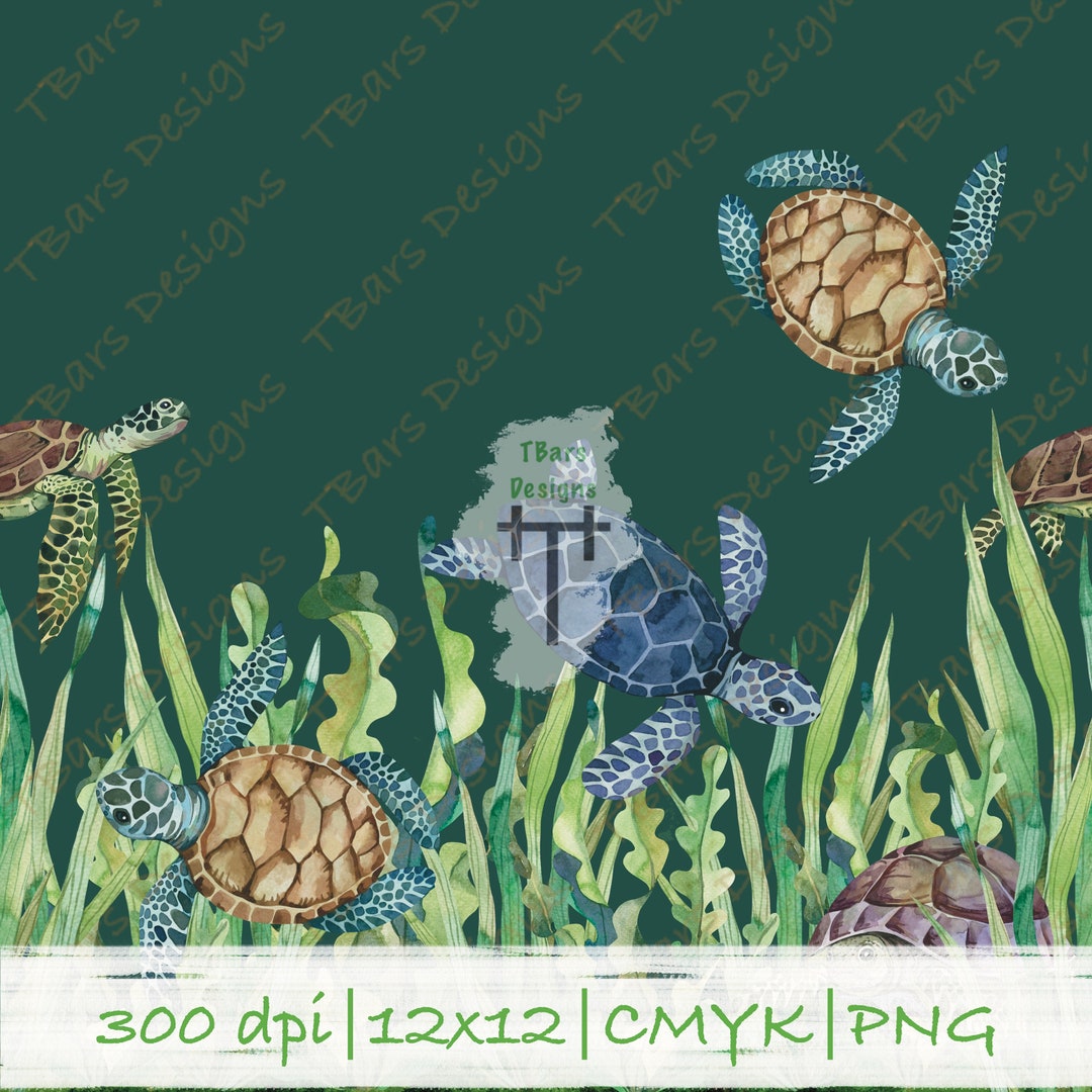 Sea Plants With Turtles Border Design, Coordinating File for Sea ...