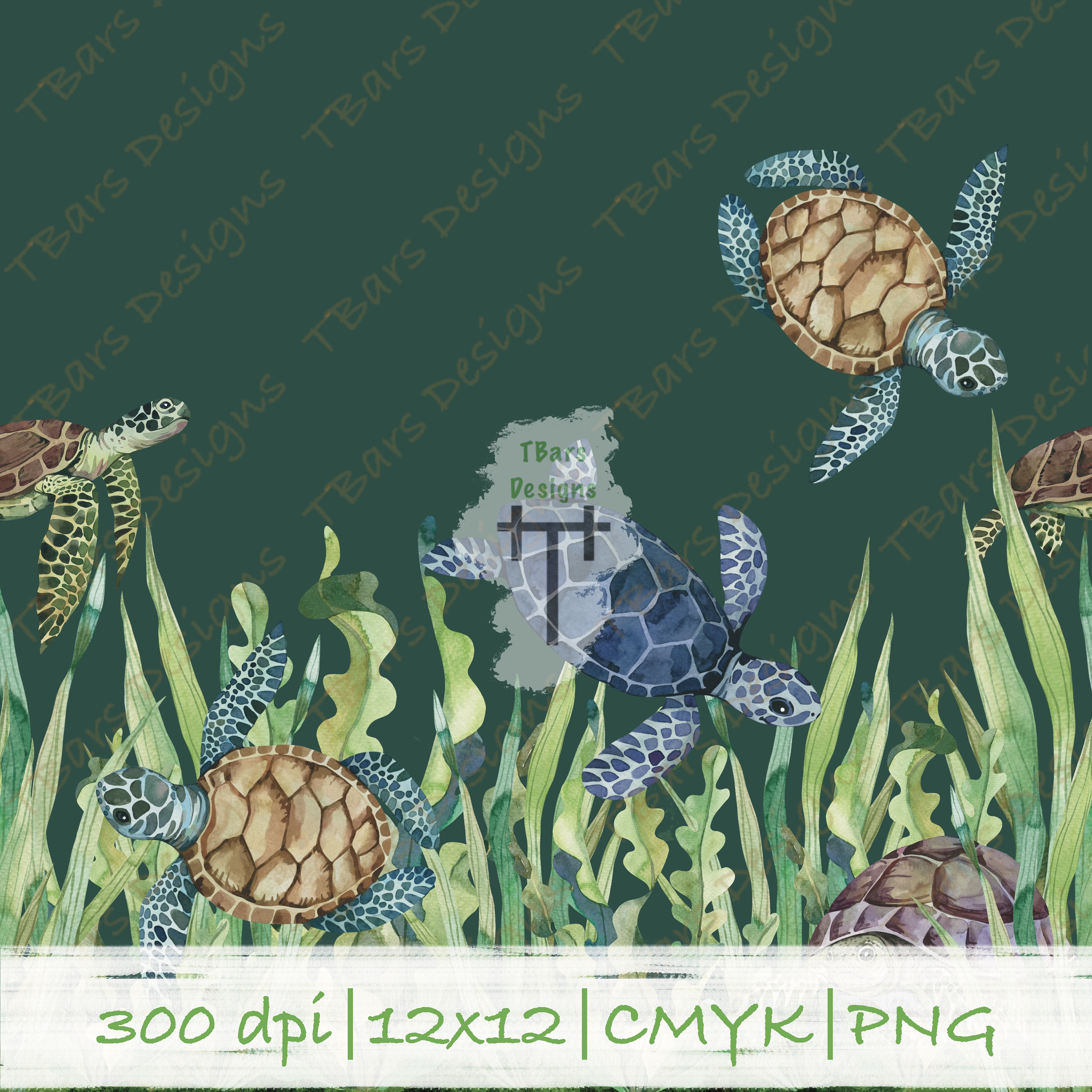 Sea Plants With Turtles Border Design, Coordinating File for Sea ...