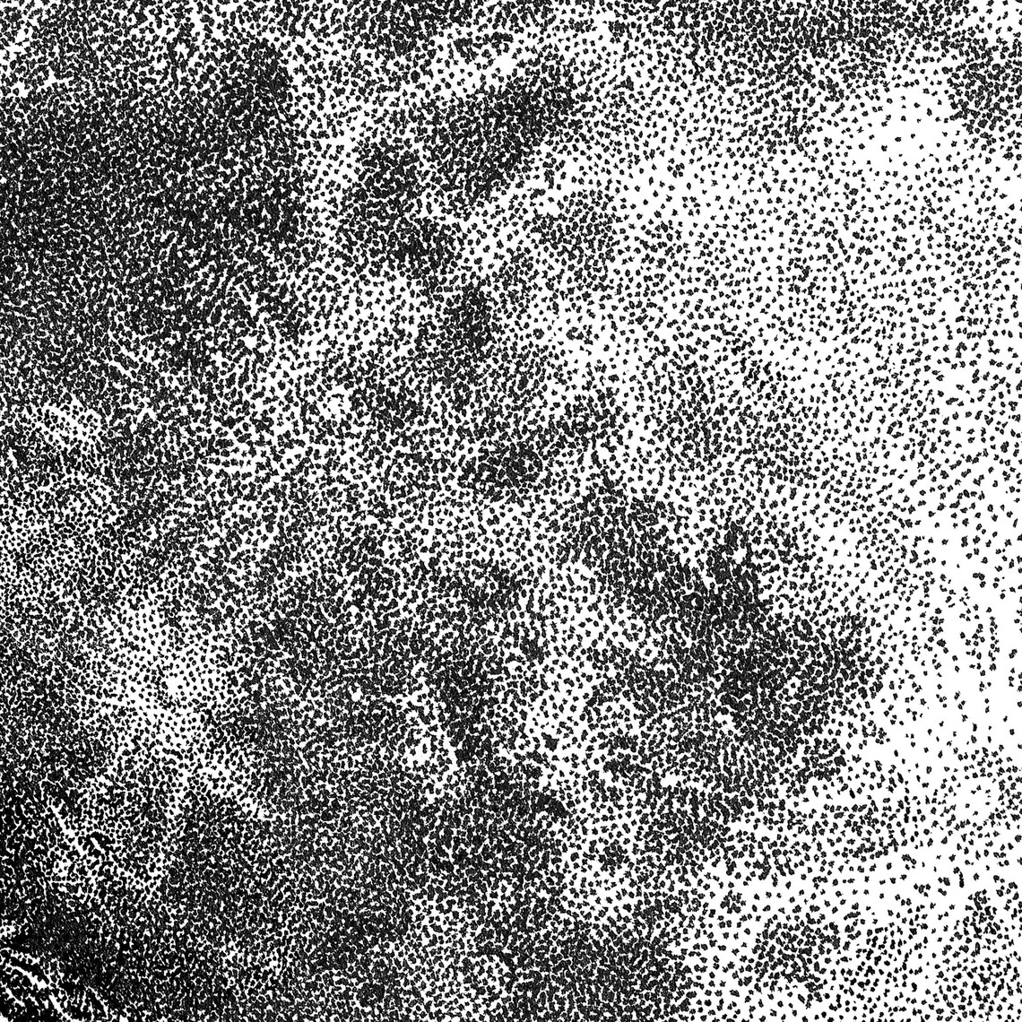 Luna Fine Art Giclée Print - Stippled Ink Drawing, Black and White ...