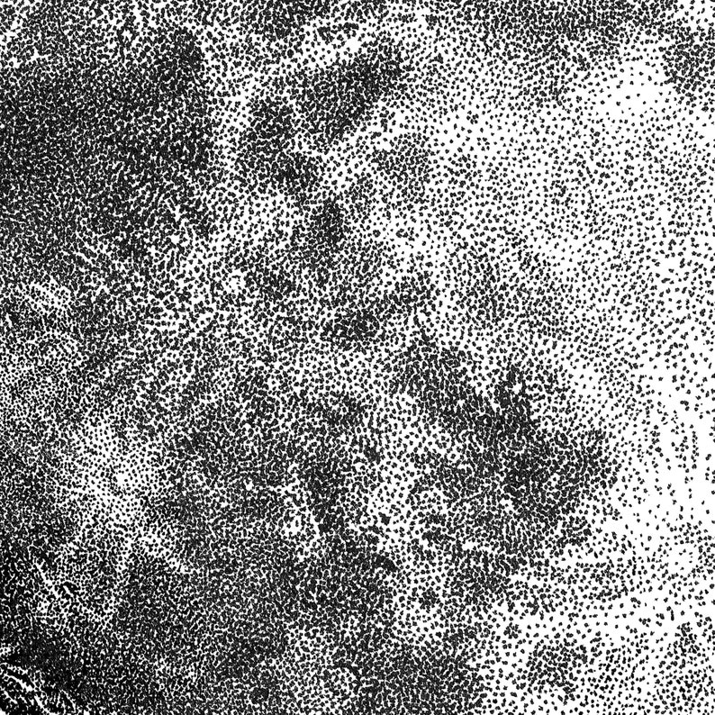 Luna Fine Art Giclée Print - Stippled Ink Drawing, Black and White ...