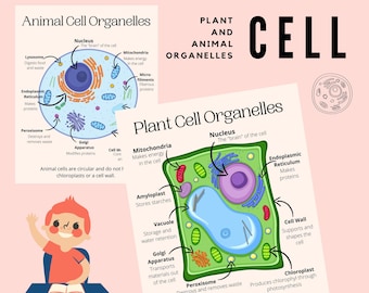 Plant Cell Poster - Etsy