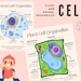 Plant and Animal Cell Classroom Posters, Organelles, Science Classroom ...