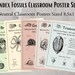 Index Fossil Classroom Poster Set, Science Classroom Décor, Science ...