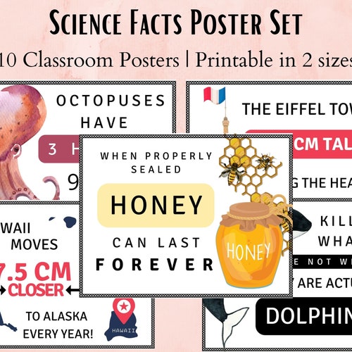 Fun Science Facts Classroom Poster Set Science Classroom - Etsy