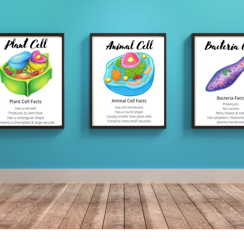 Cell Posters for Science Classroom Art PDF and PNG Printable - Etsy