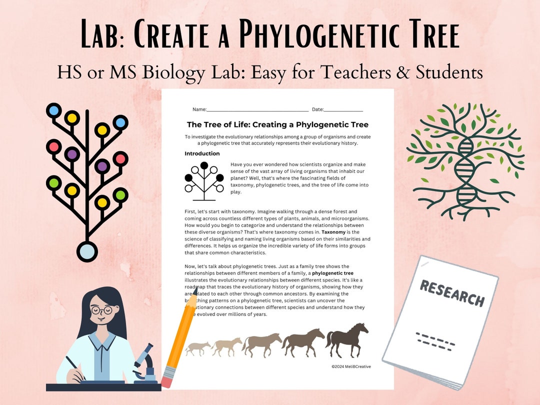Lab Sheet, the Tree of Life, Creating a Phylogenetic Tree, Biology ...