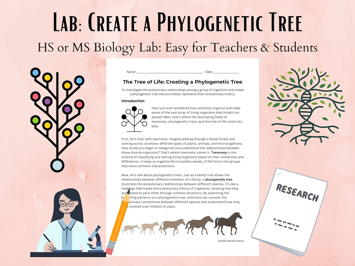 Lab Sheet, the Tree of Life, Creating a Phylogenetic Tree, Biology ...