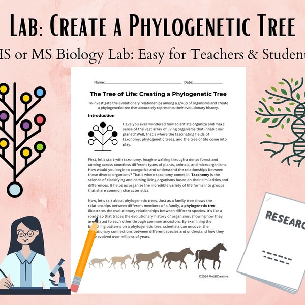 Phylogenetic Tree - Etsy