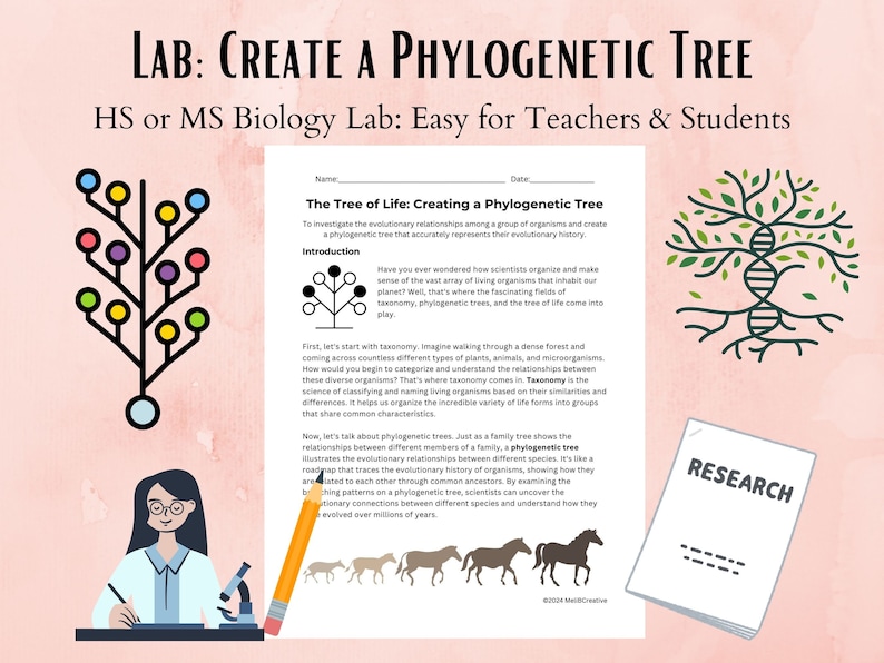 Lab Sheet, the Tree of Life, Creating a Phylogenetic Tree, Biology ...