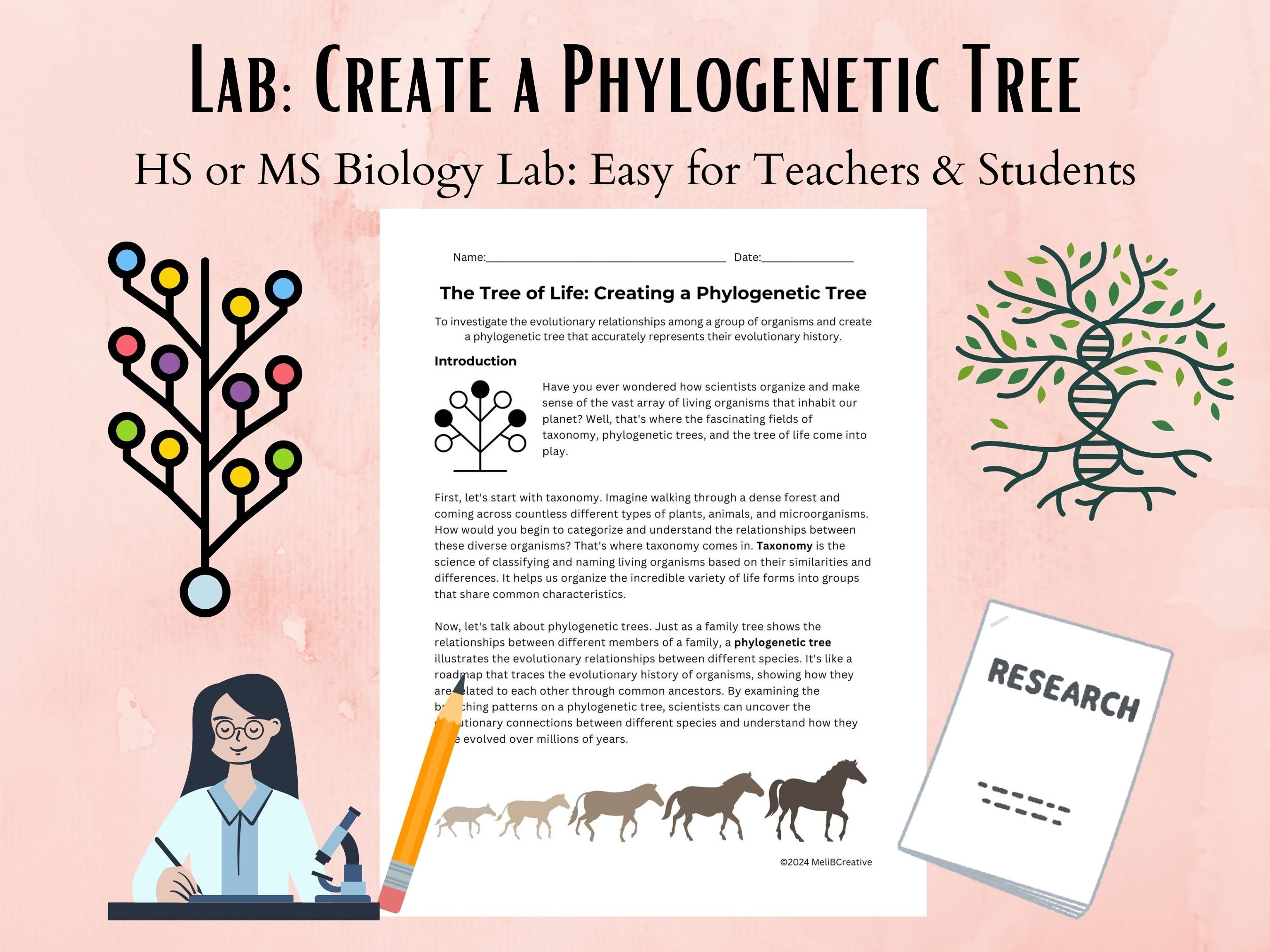 Lab Sheet, the Tree of Life, Creating a Phylogenetic Tree, Biology Worksheet, Science Teachers ...