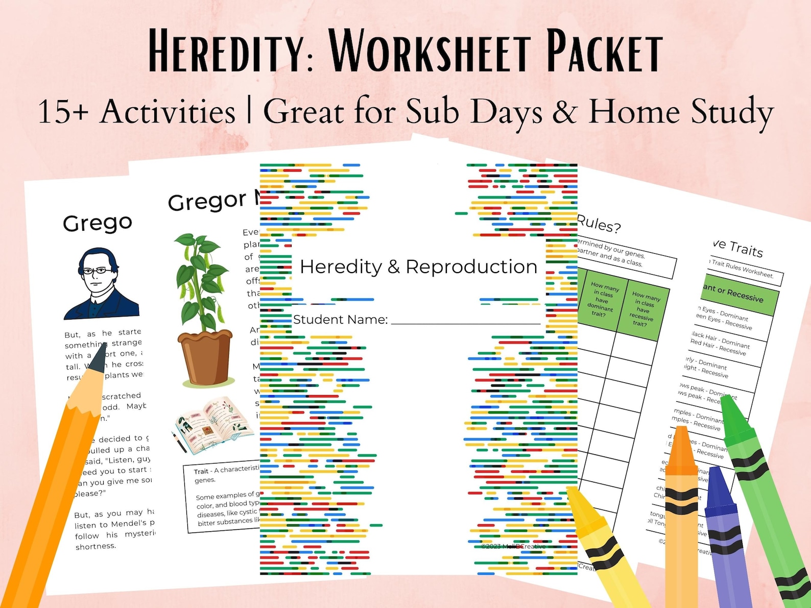 Heredity & Genetics Life Science Worksheet Packet for Middle School ...