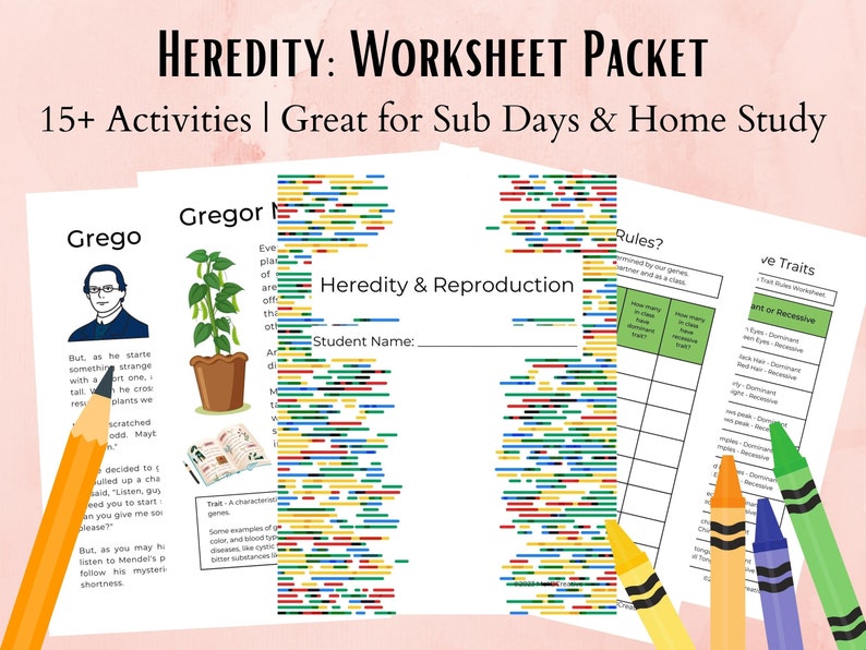 Heredity & Genetics Life Science Worksheet Packet for Middle School ...