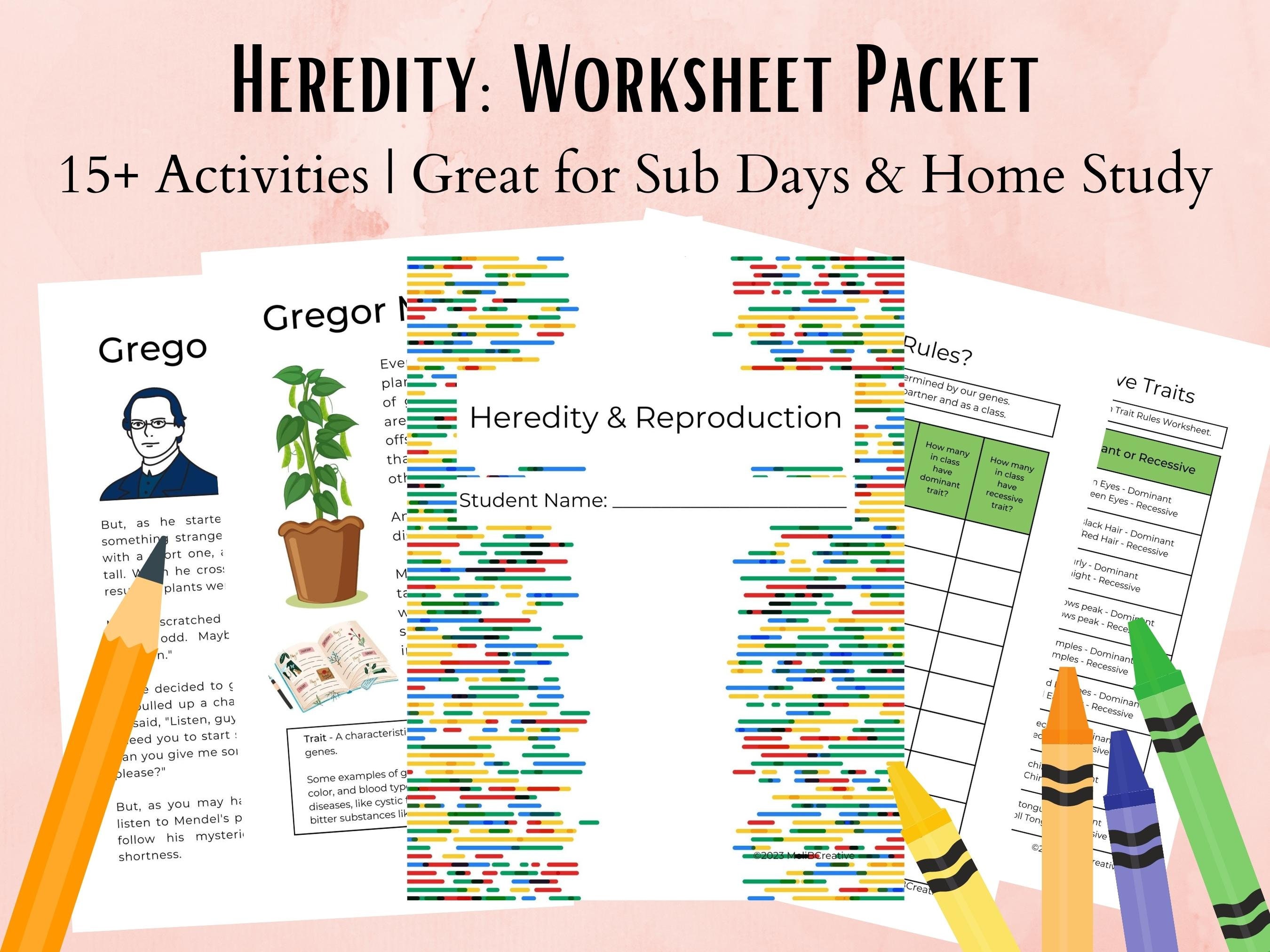 Heredity & Genetics Life Science Worksheet Packet for Middle School ...