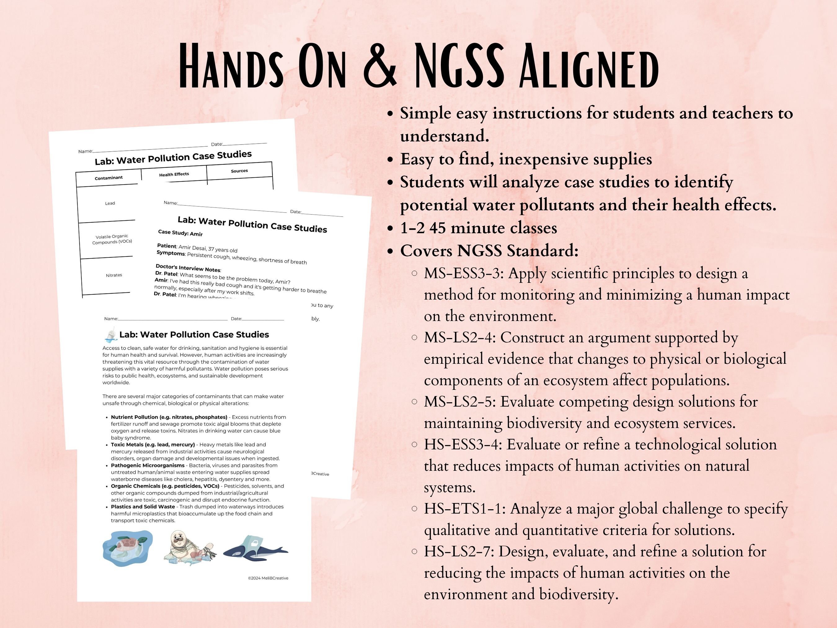 Water Pollution Case Study Lab Sheet, Earth Science, Biology Worksheet ...
