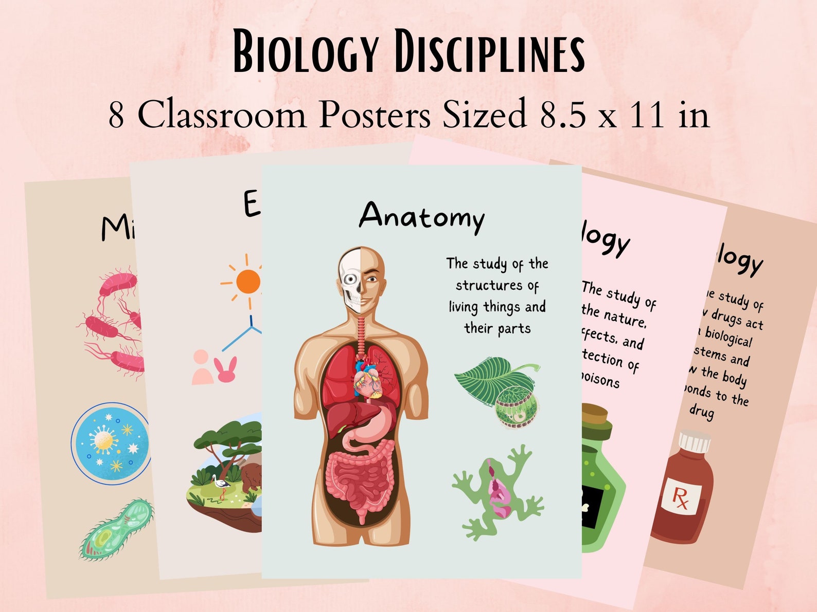Biology Classroom Poster Set, Biology Careers, STEM, Disciplines ...