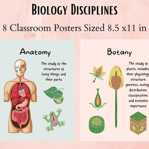 Biology Classroom Poster Set, Biology Careers, STEM, Disciplines ...