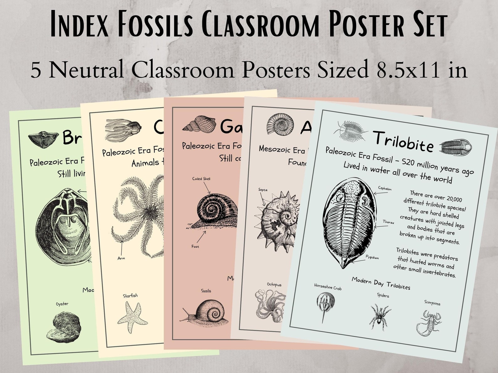 Index Fossil Classroom Poster Set, Science Classroom Décor, Science ...