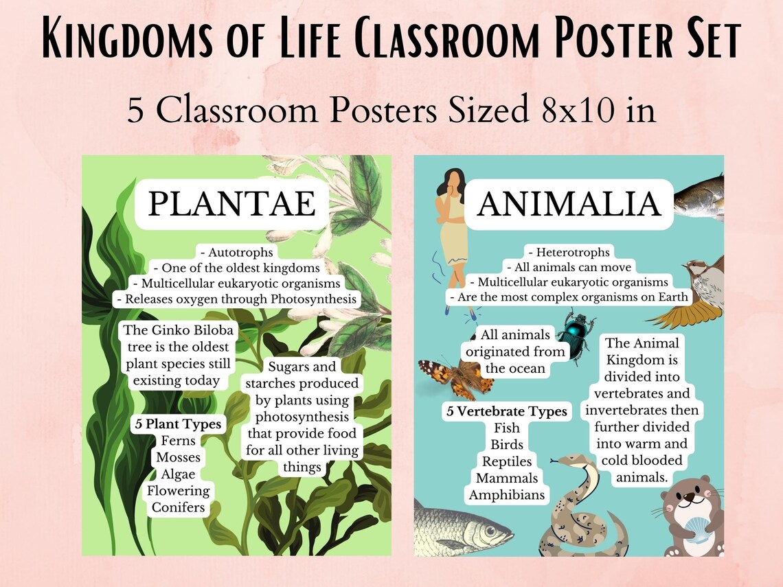 Kingdom of Life Science Classroom Poster Set Biology | Etsy