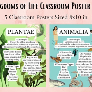 Kingdom of Life Science Classroom Poster Set, Biology Classroom ...