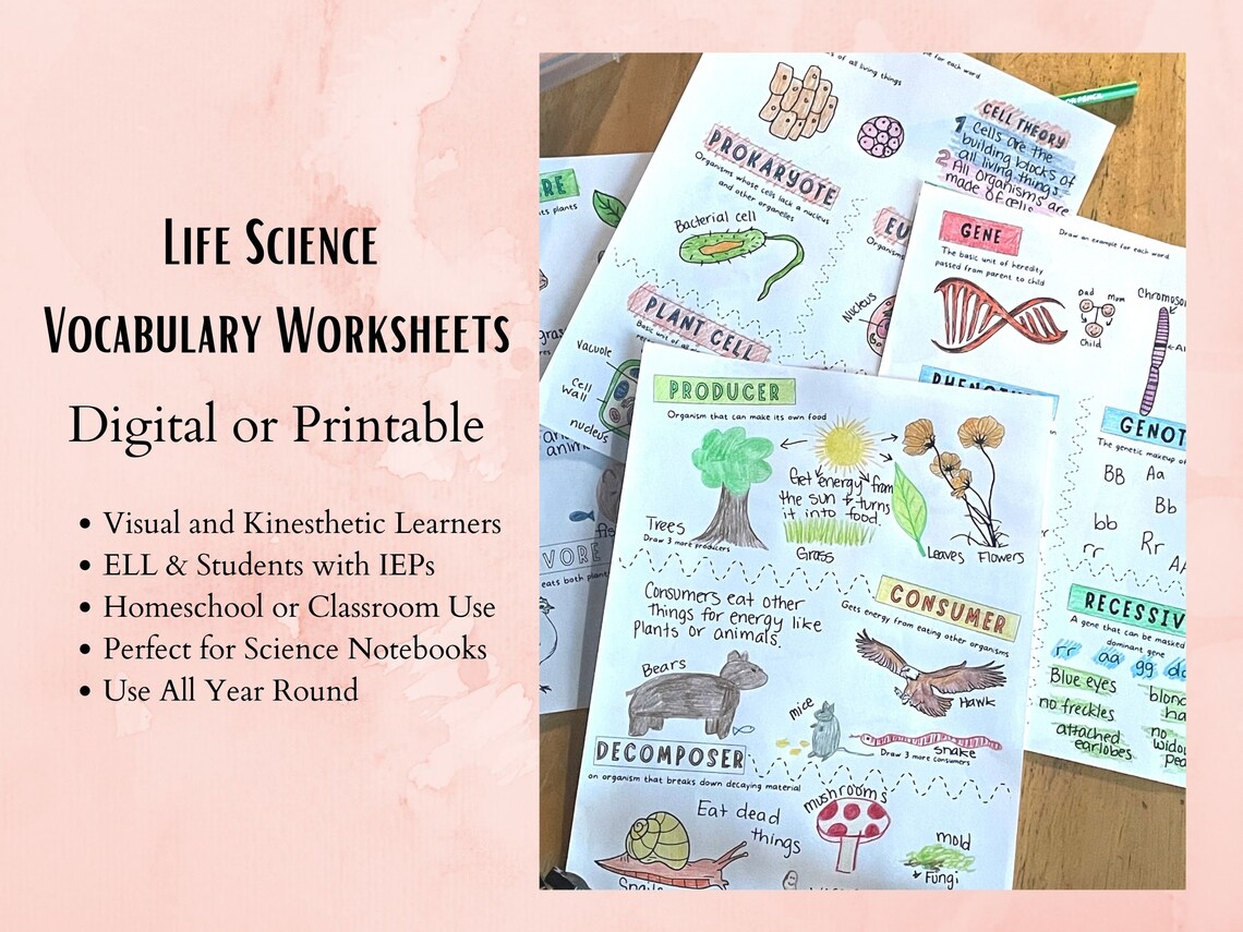 Life Science Vocabulary STEAM Worksheets, Middle School Science ...