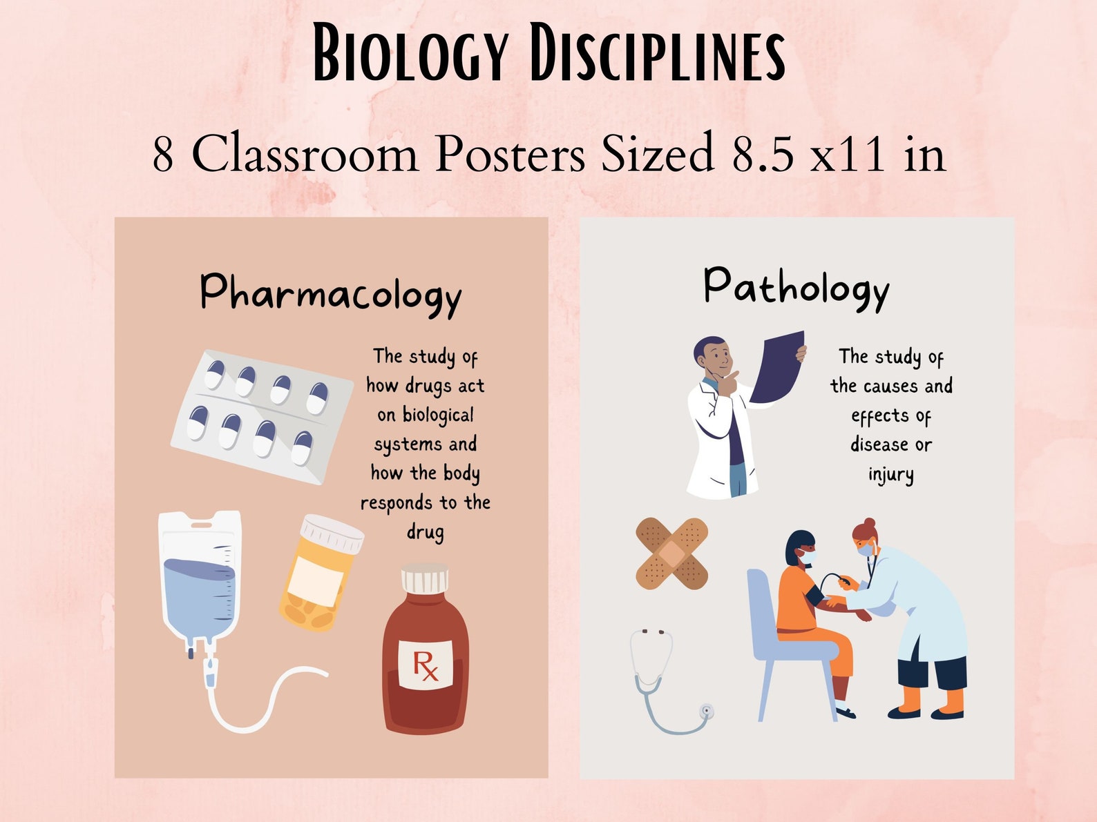Biology Classroom Poster Set, Biology Careers, STEM, Disciplines ...