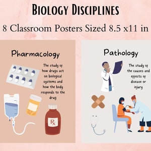 Biology Classroom Poster Set, Biology Careers, STEM, Disciplines ...